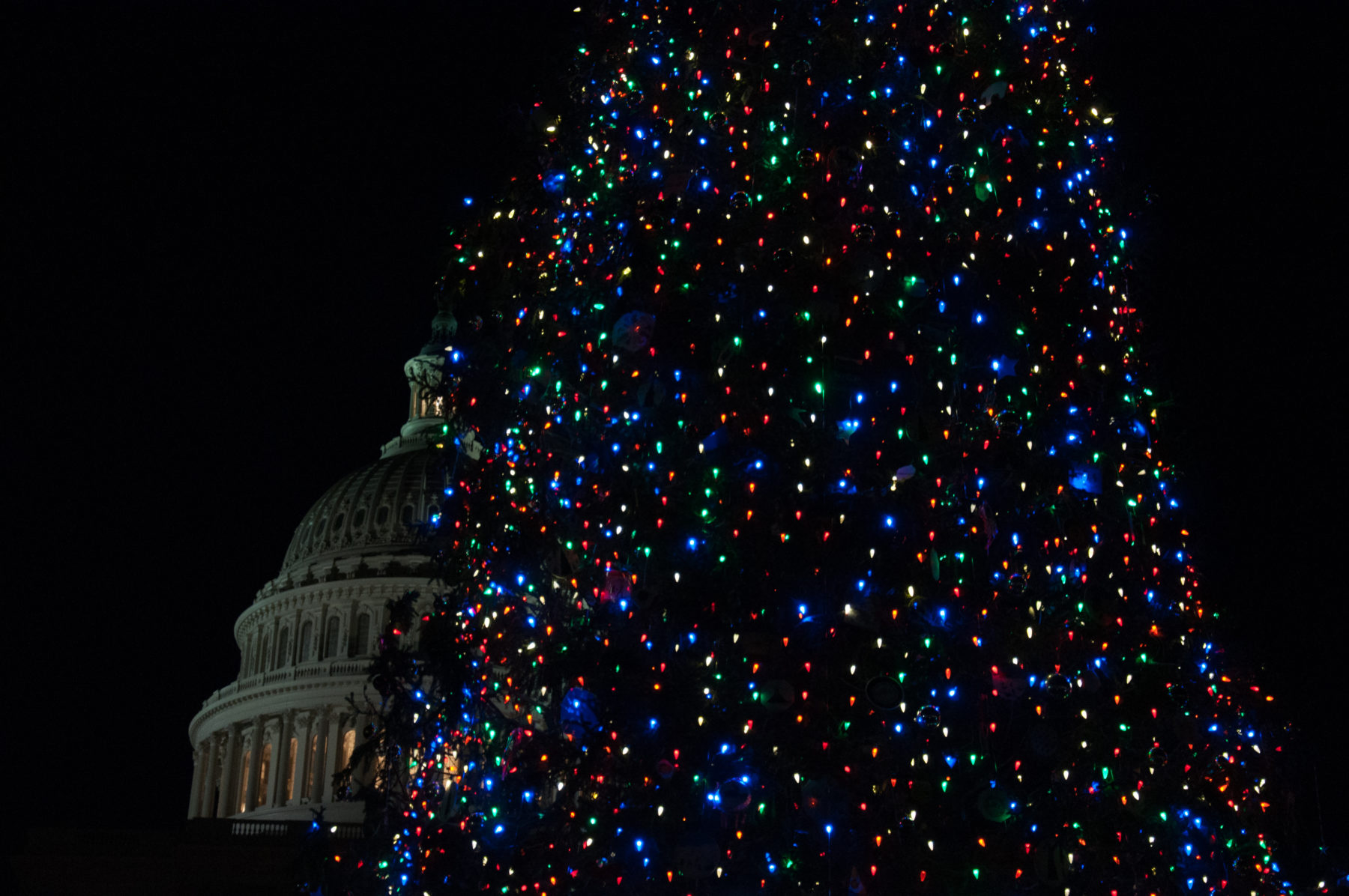 CapitolChristmasTree-AS-December-2012-0461 – Southern Ute Indian Tribe