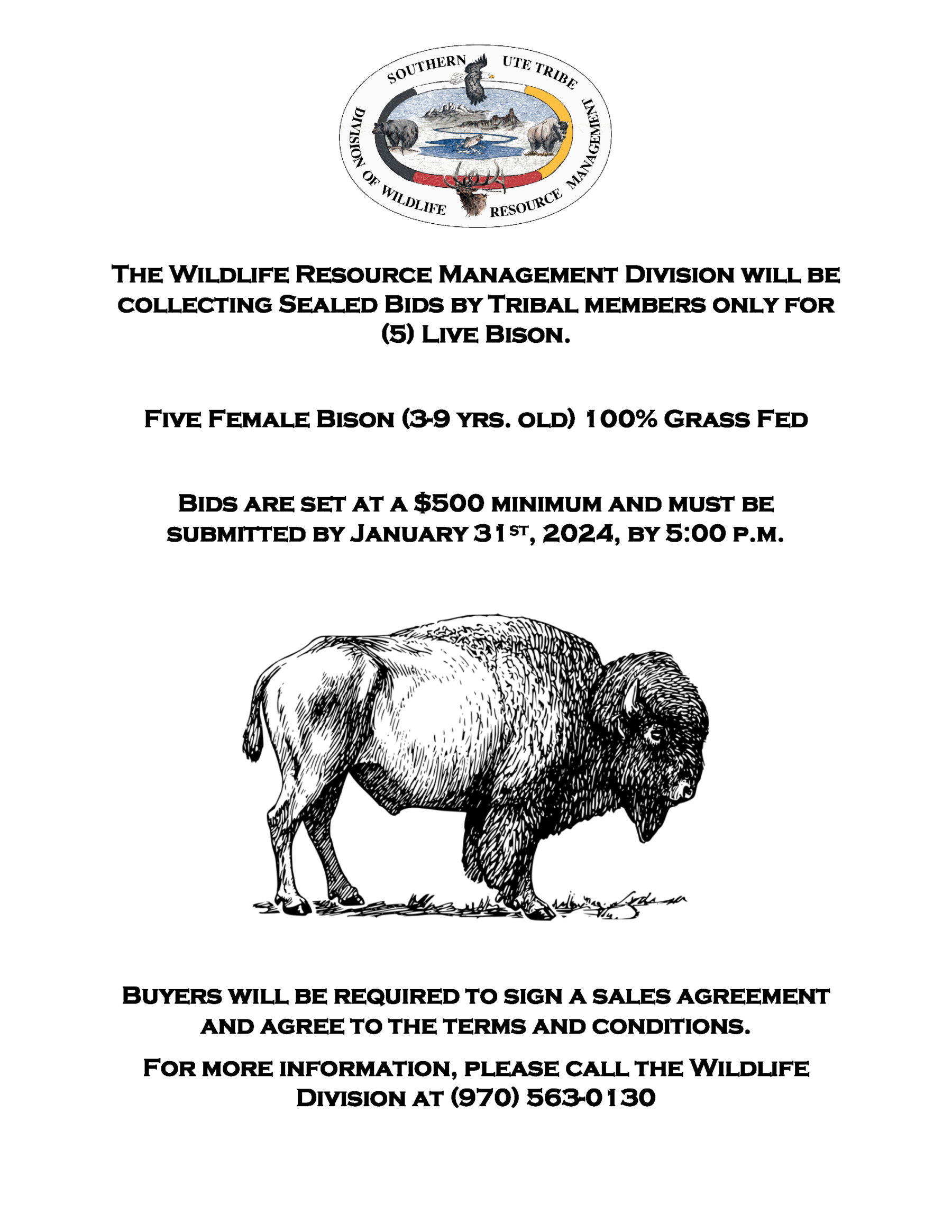 Wildlife Division Sealed Bid_ Bison – Southern Ute Indian Tribe