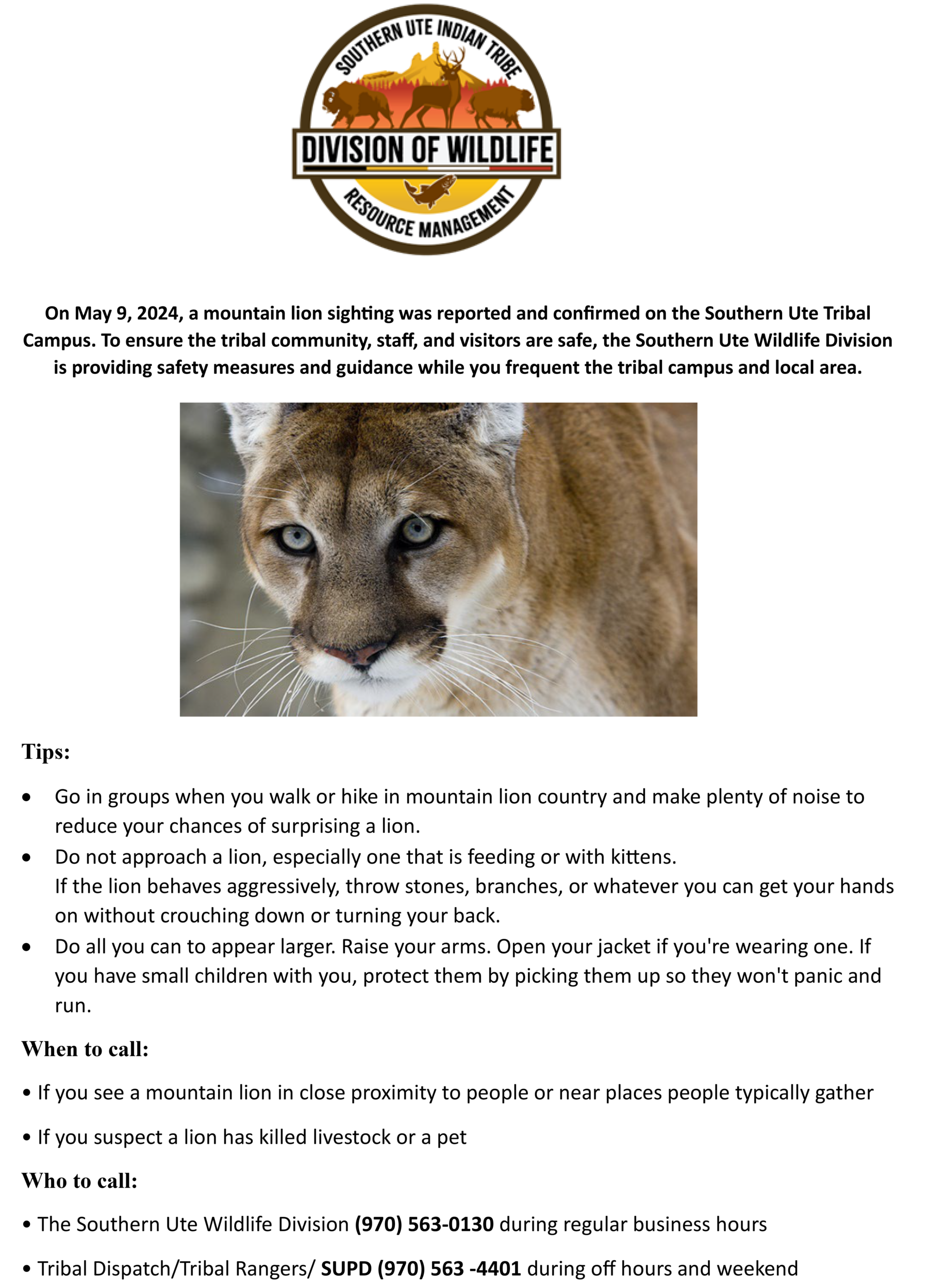Mountain Lion Notice – Southern Ute Indian Tribe